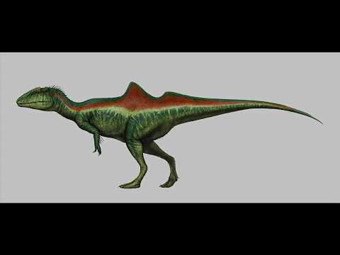 Concavenator Explained