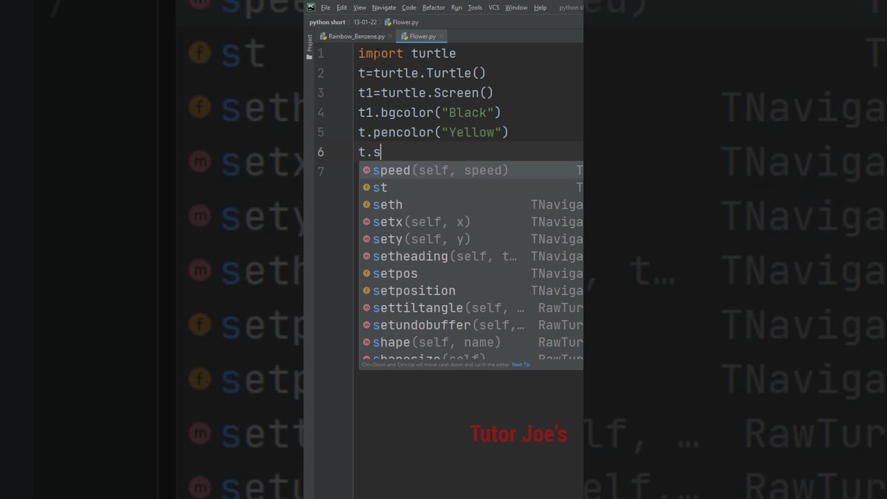Flower Design in Turtle | Python Program | Tutor Joes