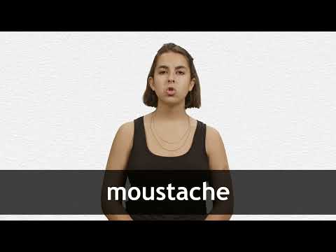 English Translation of “MOUSTACHE” | Collins French-English Dictionary