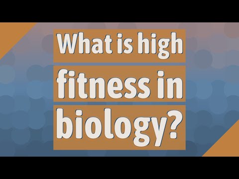 What is high fitness in biology?