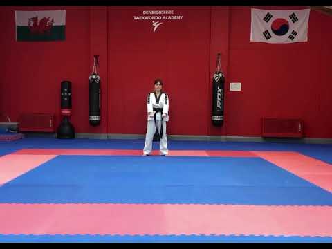 Four Directional Punch & Block - Sajo Jirugi Part 1