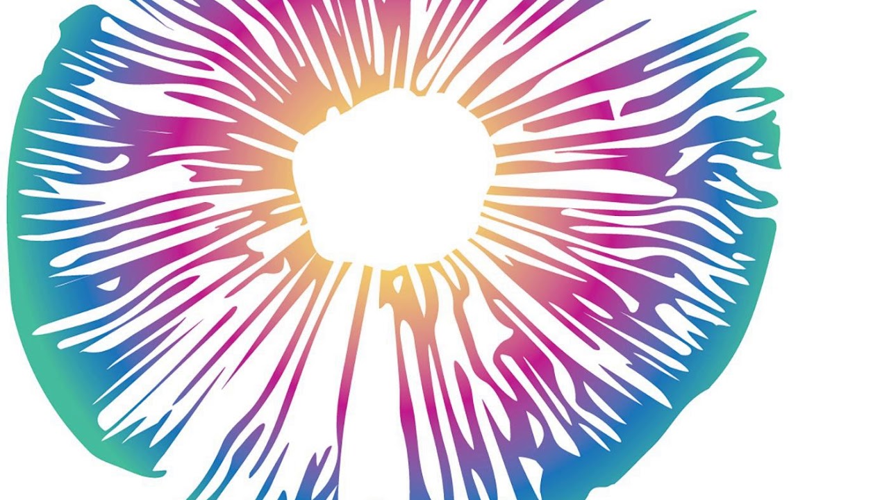 Psychedelic Science 17 Recap
