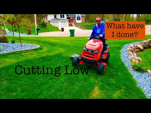 How low can you go? Simplicity Regent cutting at 1.5"