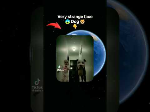Very strange face dog ๐ฑ on google earth ๐#earth #map #viral #shorts #dog #trending #thegoogleearth09