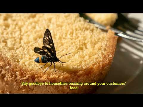 Mosquito Killer Machine & Fly Killer for a Bug-Free Restaurant! #shorts #shortsvideo