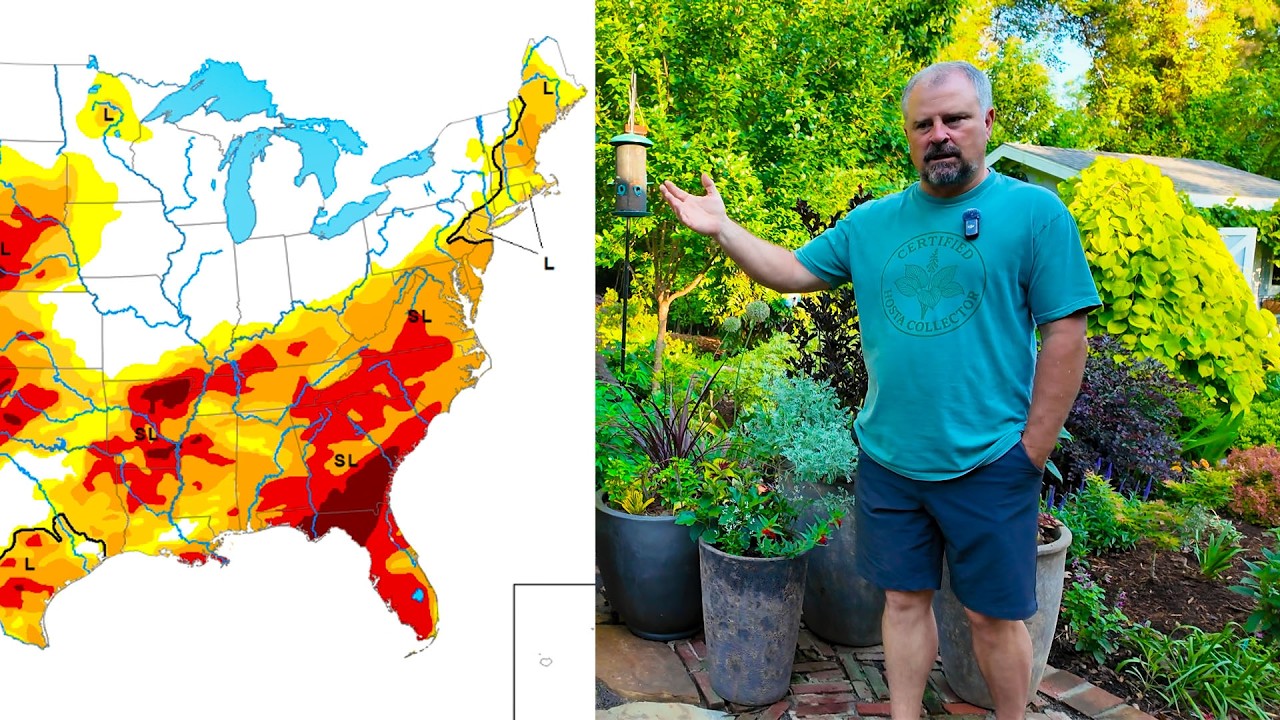 Drought Gardening Tips That Actually Work