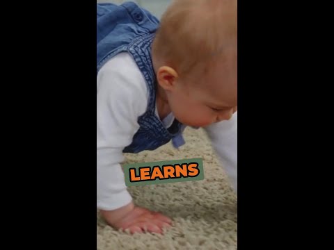 How Movement Shapes Learning: The Role of Gross Motor Skills in Children