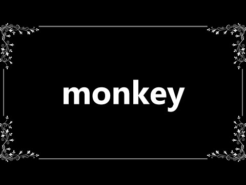 Monkey - Definition and How To Pronounce