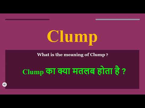 Clump meaning in Hindi | Clump ka kya matlab hota hai | daily use English words