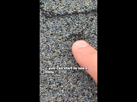 What's the difference between a hail hit and a blister?