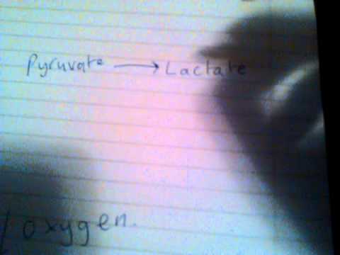 Biochemistry Help: Glycolysis under Anaerobic Conditions - Low oxygen