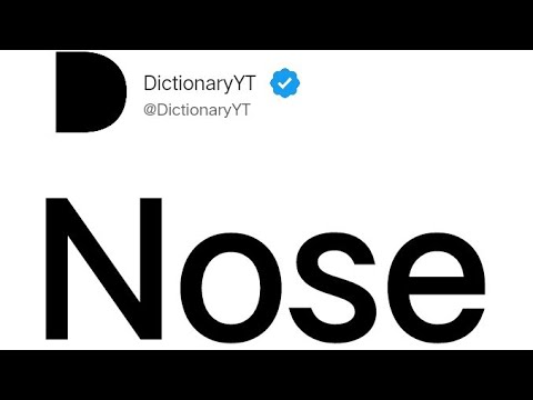 Nose Meaning in English