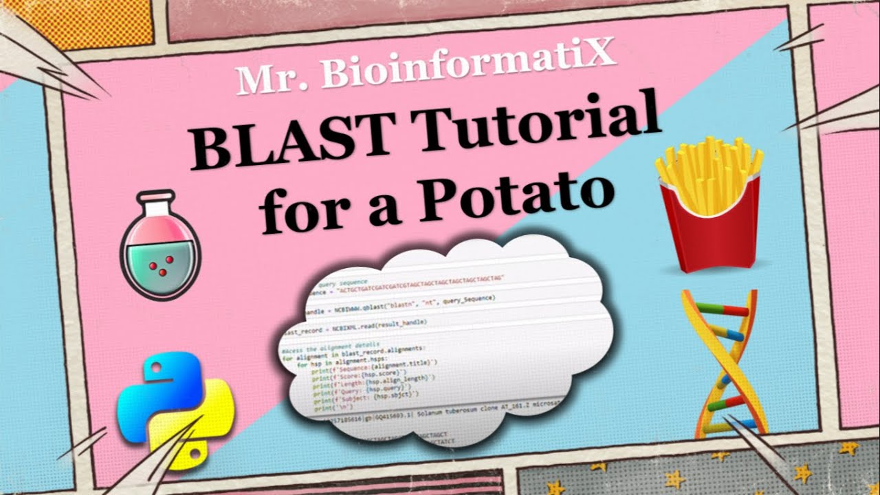 BLAST Tutorial for a Potato 🍟| Biopython Tutorial | Mr. BioinformatiX