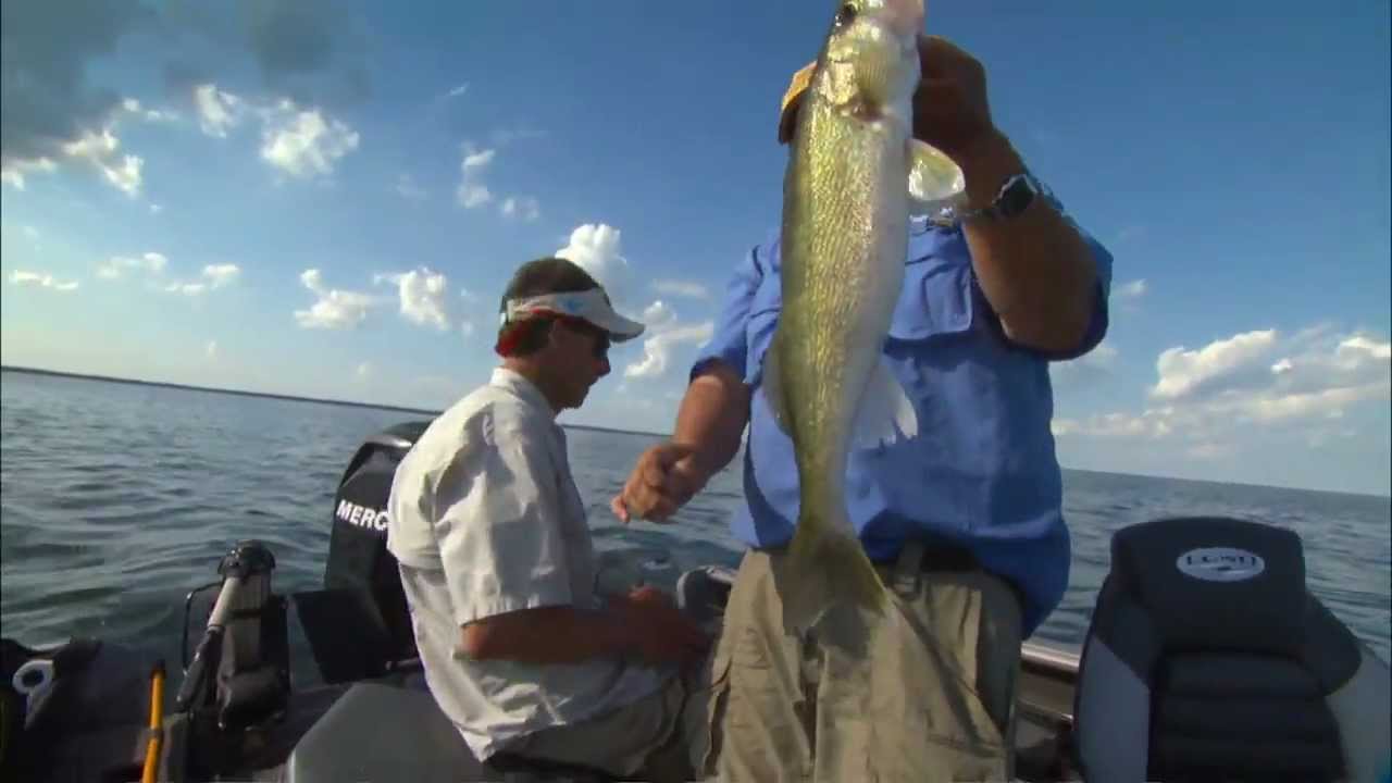 Rigging Spinners for Summer Walleye