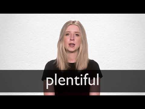 PLENTIFUL definition and meaning | Collins English Dictionary