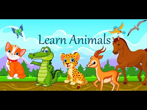 Download Learn Animals for Kids MOD apk for Free | AppBrain