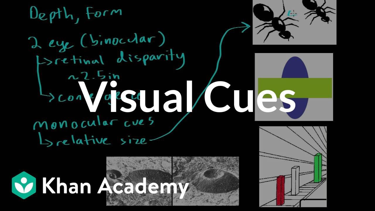 Visual cues | Processing the Environment | MCAT | Khan Academy