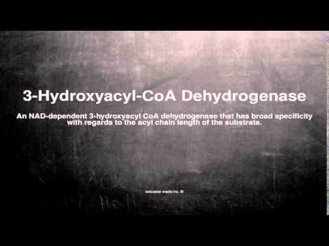 Medical vocabulary: What does 3-Hydroxyacyl-CoA Dehydrogenase mean