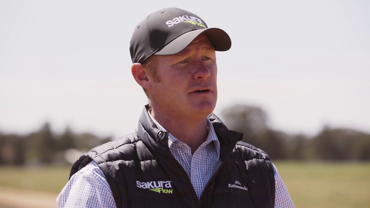 Sakura Flow brings choice & flexibility | News | Bayer Crop Science