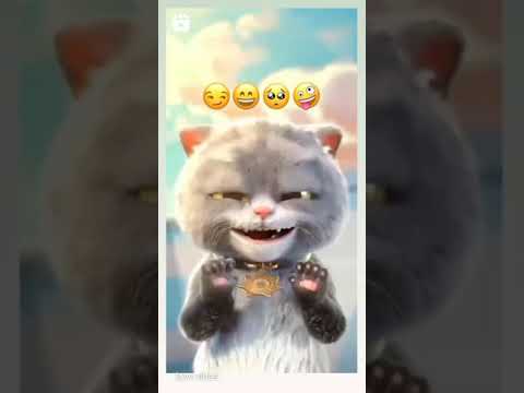 Funny cat face emoji (funny video) #catfaceemoji #funnycat #catemoji #funnycat #catfunnyface #funny