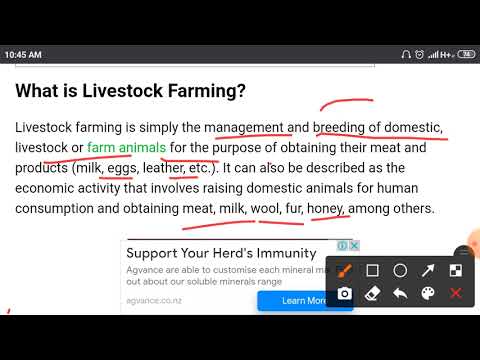 What is livestock farming (hindi), Bsc Agriculture notes, Unique Agriculture study