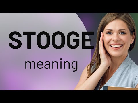 Stooge | STOOGE definition
