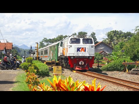 KERETA API PANJANG‼️ MENEMUKAN 24 KERETA API NGEBUT DI PERLINTASAN DAN STASIUN