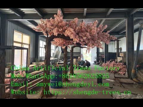 what is the cherry blossom tree interior?
