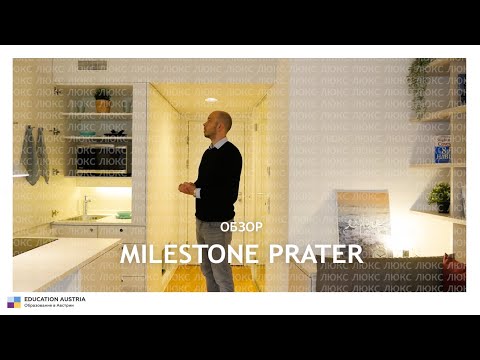 Топ среди общежитий от Milestone (часть 2)