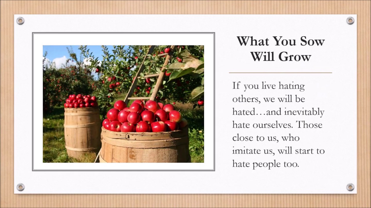 Self Leadership Tips Part 1