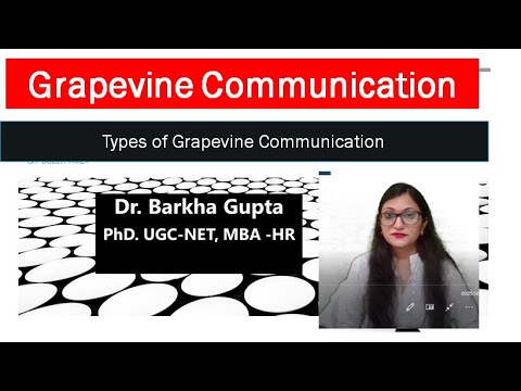 Grapevine Communication Types of Grapevine Communication Video Lecture ...