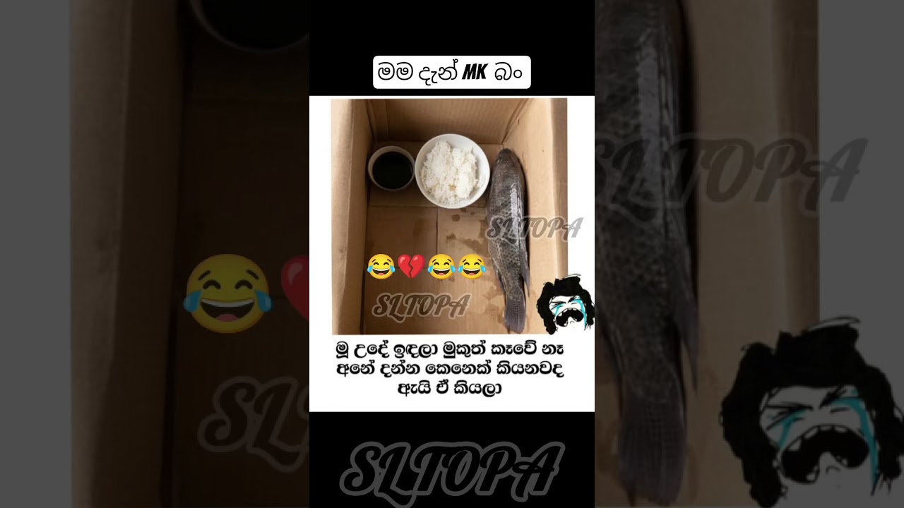 #sltopa #memes #funny #𒆜foryou #trending #jokes #comedy #sltopa #viral