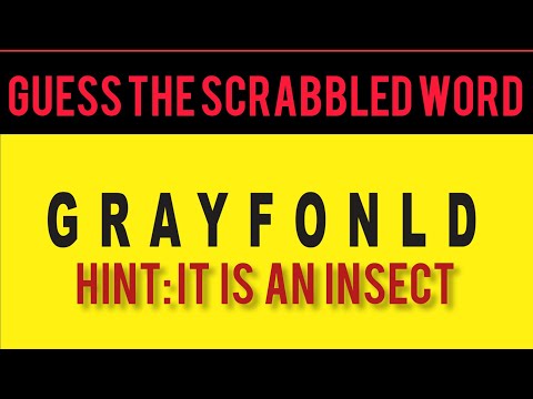Guess The Scrabbled Word By Using The Hint.