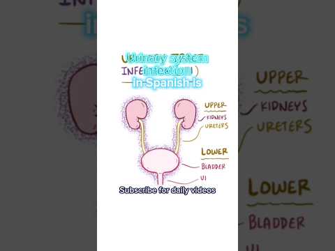 URINARY SYSTEM INFECTION in SPANISH | Excel in Medical Consecutive Interpretation