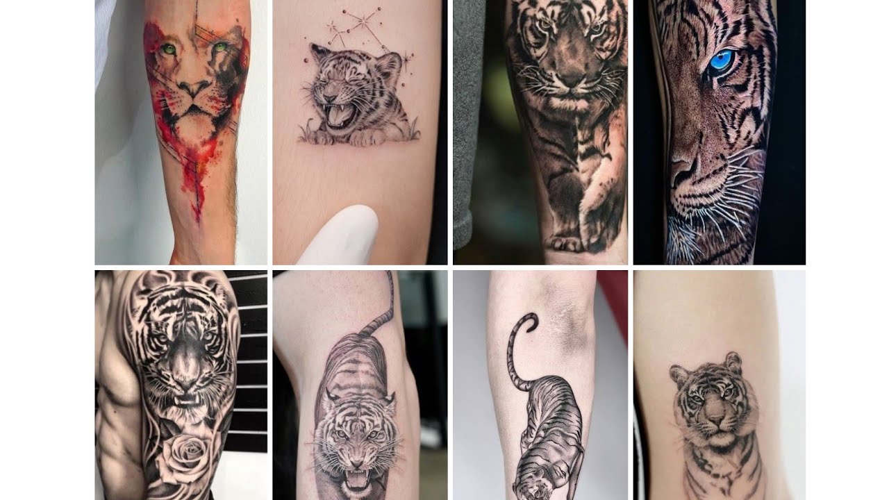 Tiger Tattoo Design Boys And Girls Tattoos Video in My Channel