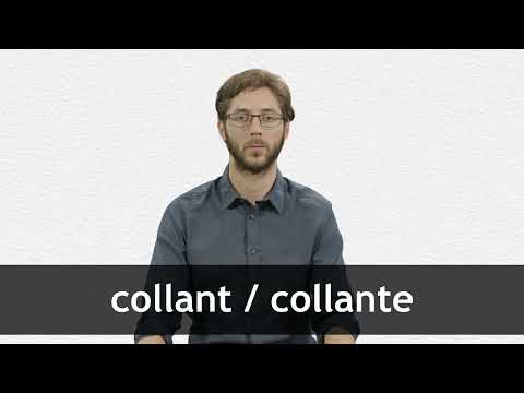 English Translation of “COLLANT” | Collins French-English Dictionary