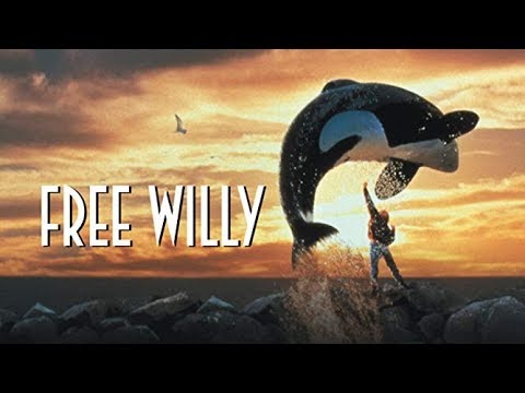 Sauvez Willy a 30 ans : que sont devenus les acteurs du film