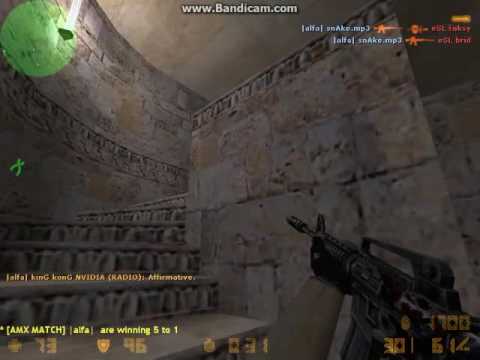 snAke ACE m4a1