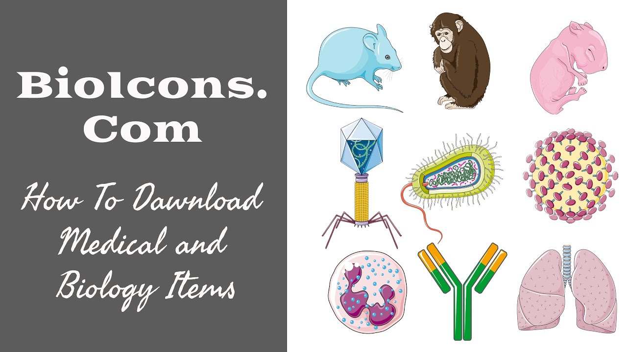 Navigate BioIcons.com to download Biology Icons