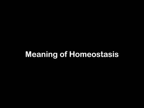 What is the Meaning of Homeostasis | Homeostasis Meaning with Example