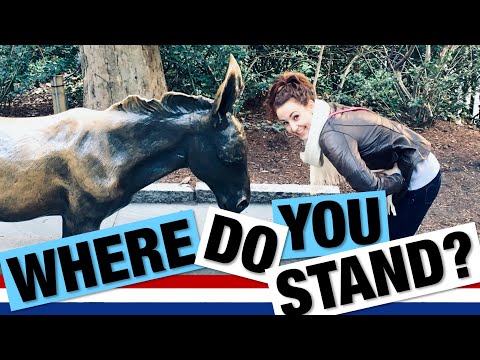 DEMOCRAT vs. REPUBLICAN - Explained | What's the difference between republicans and democrats?