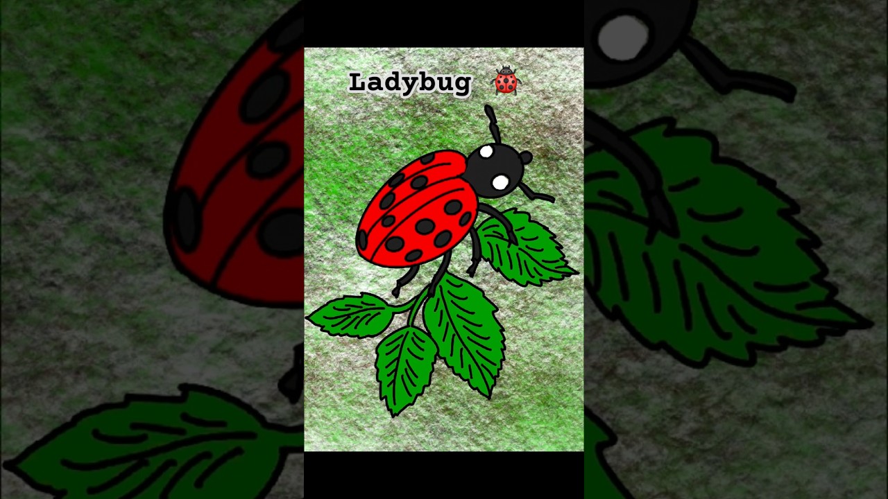 Cute ladybug 🐞✍️🎨