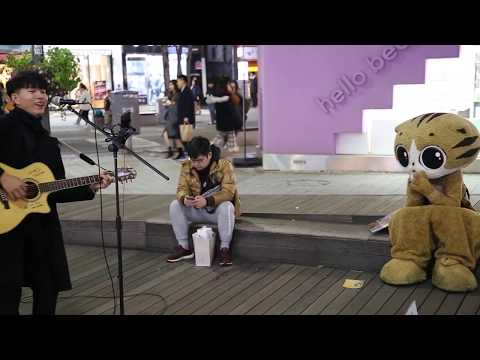 JHKTV] 신촌명물고양이와가수 이근희 shinchon special cat&lee geun hee Falling Slowly - Fresh Forte