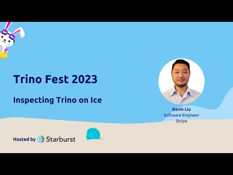 Stripe at Trino Fest - Inspecting Trino on Ice