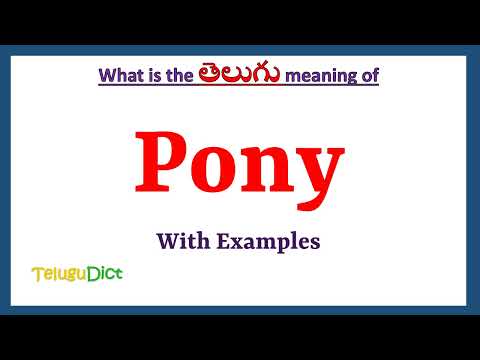 Pony Meaning in Telugu | Pony in Telugu | Pony in Telugu Dictionary |