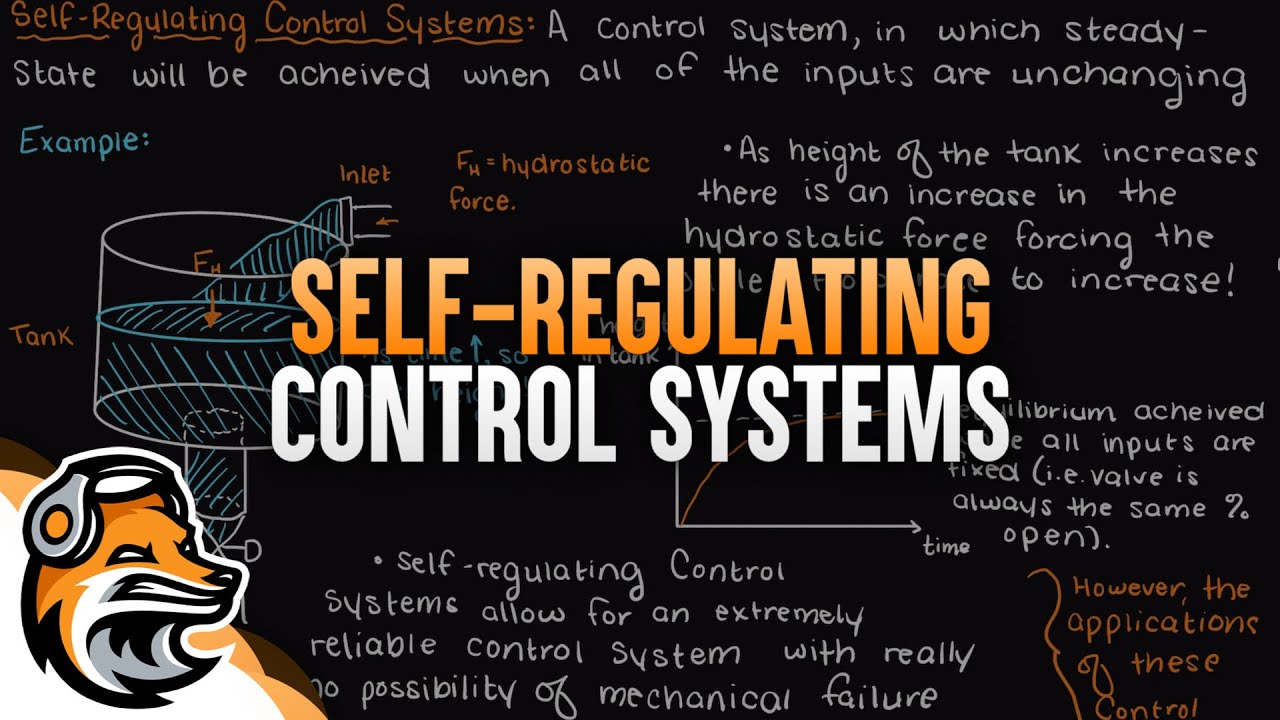 Self-Regulating Control Systems