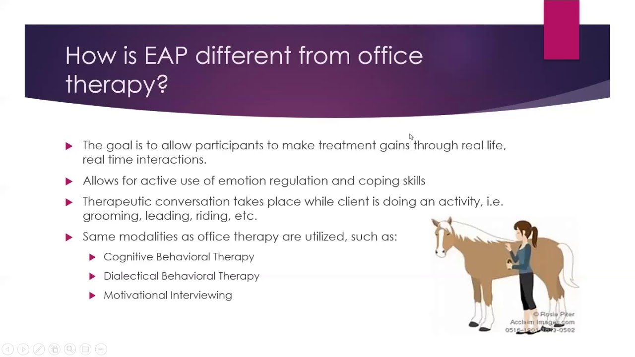 Equine Assisted Therapy Webinar FINAL