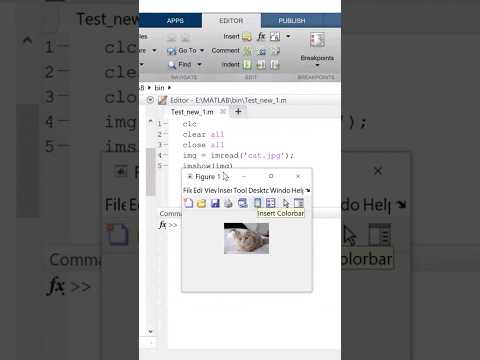 Read and display a single image in MatLab