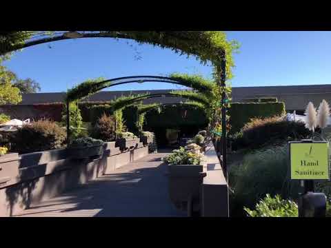 J Vineyards and Winery in Northern California’s Sonoma County