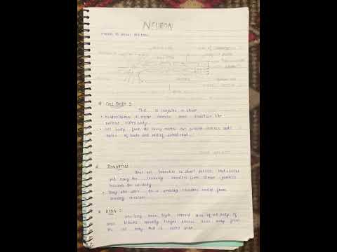 NEURON PART 1 #nervoussystem #dmlt #anatomyandphysiology